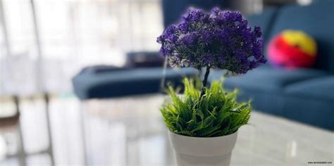 Windows Kernel Drivers Certificate Dennis A Babkin