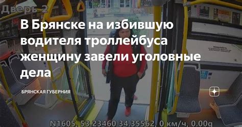 В Брянске на избившую водителя троллейбуса женщину завели уголовные дела Брянская губерния Дзен