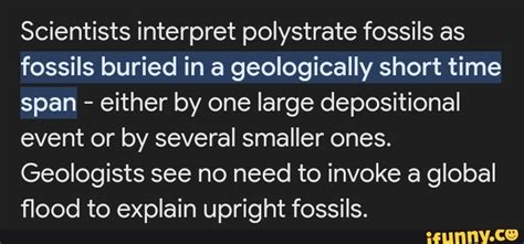 Scientists Interpret Polystrate Fossils As Fossils Buried In A