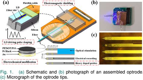 Figure 1 From Noise Mitigation Strategies For Silicon Based Active Neural Optrode Semantic Scholar