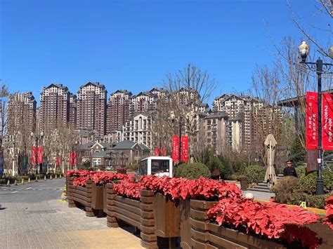 天津津南中海国际公园城实景图75 吉屋网