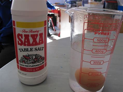 Science Projects How To Make An Egg Float Second Class
