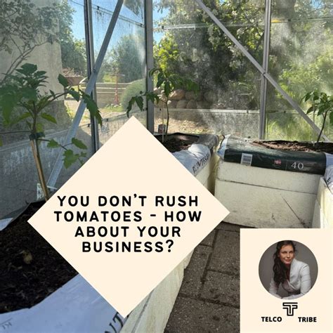 Ss7 Esim Imsi Magdalena Bay