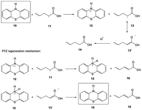 Inhibition Of Free Radical Polymerization A Review