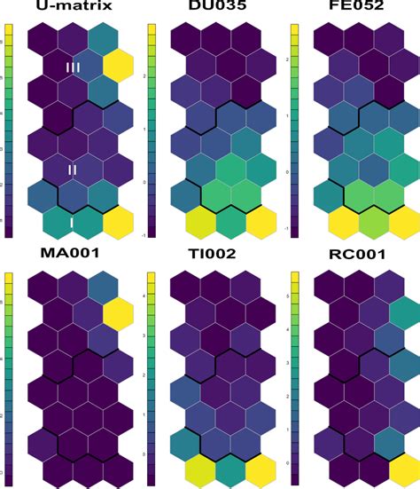 self organizing map som for the variables number of days per year