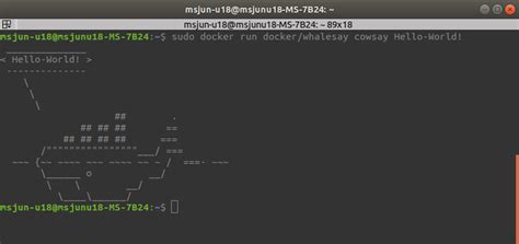 Docker Ubuntu에서 docker 설치하기 msjuns something