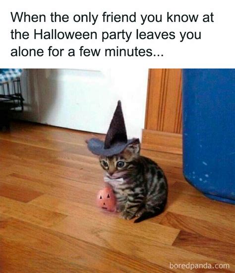 In Honor Of Halloween Here Are 50 Hilarious And Spooky Pics And Memes