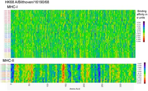 Hierarchical Clustering Of Predicted Binding Of Multiple Mhc I And Download Scientific Diagram