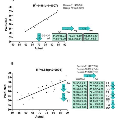 Restriction Site Associated Dna Rad Sequencing Statistics Of Ecori Download Table