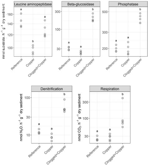 Microbial Functional Responses For Each Treatment In The First 3 Cm Of Download Scientific
