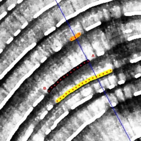 A Given Chain In Black With Two Endpoints A And B Its Nodes In Red Download Scientific