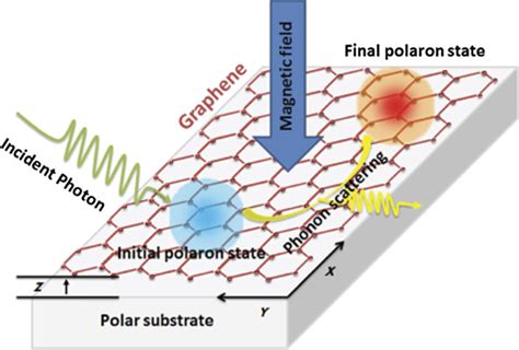 Schematic Diagram Of Optical Absorption Of Polaron In Monolayer Download Scientific Diagram