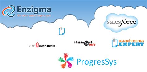 Salesforce Consultant Enzigma Software Private Limited