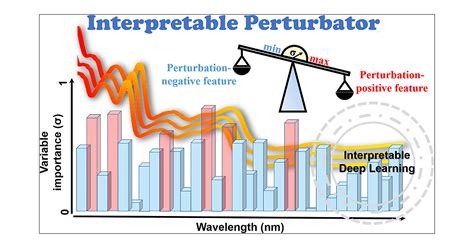 Interpretable Perturbator For Variable Selection In Near Infrared Spectral Analysis Journal Of