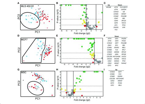 Identification And Characterization Of Distinct Subpopulations A A
