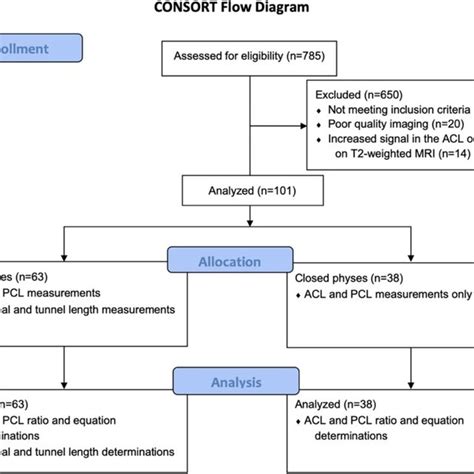 3 Algorithm For Management Of Pcl Injuries Download Scientific Diagram