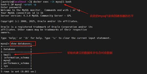2025 Docker中初始化mysql连接问题记录 Csdn博客