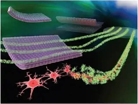 Call For Papers Biodevices Conferences Biomaterials Conferences