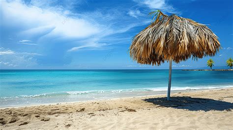 손바닥 도미니카 공화국의 해변 우산 파란색 밝은 풍경 배경 일러스트 및 사진 무료 다운로드 Pngtree