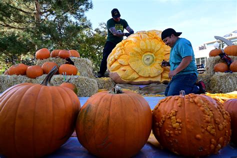 Photos Howie Colorados Largest Recorded Pumpkin Carved At Denver