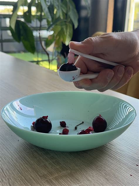 Simple Cherry Pitter Easy To Print 100 Working New Update By 3dmar