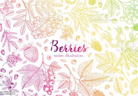 딸기와 함께 화려한 벡터 배경입니다 건강 식품 블루베리 체리 라즈베리 딸기 등으로 디자인 서식 파일 레이블 그레이트 디자인 메뉴 조리법 포스터 포장 디자인 0명에 대한 스톡