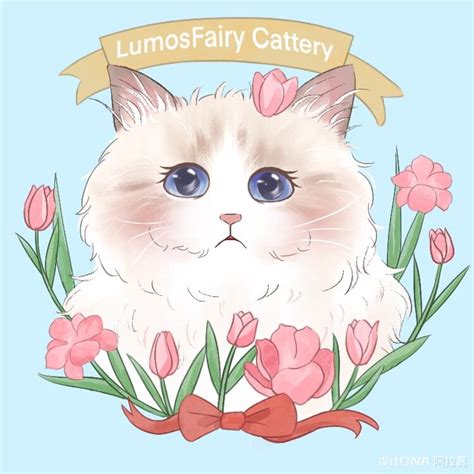 猫咪头像风格插画设计作品 设计人才灵活用工 设计dna