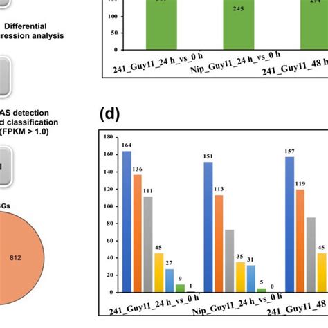 Identification And Distribution Of Alternatively Spliced Genes Asgs