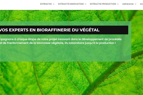 Extraction Websites List All Kinds Of Directories List