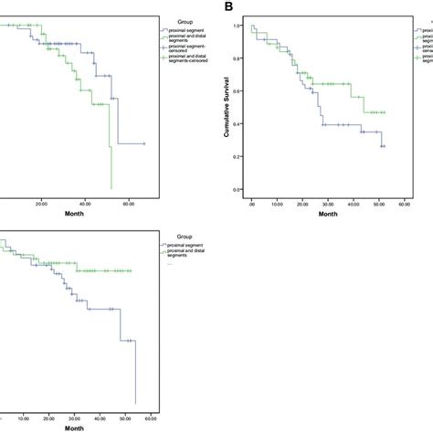 Texas Diabetic Wound Classification Download Scientific Diagram