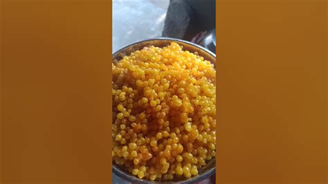 Rasbari Bundi Youtube