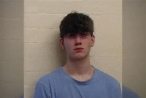 Man Who Carried Out Abhorrent Sex Attacks In West Lothian And Falkirk