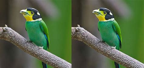 Top 54 Projects Based On Matlab