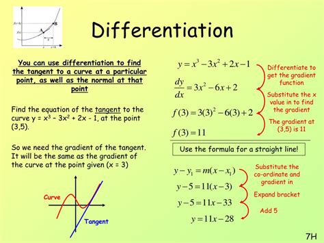 PPT Differentiation PowerPoint Presentation Free Download ID