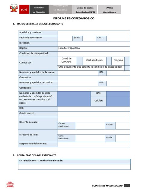 Informe Psicopedagogico Inicial Pdf Aprendizaje Lima