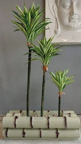 Fiber Rectangular Pots At ₹ 4600 Piece Rectangular Planter In Raipur