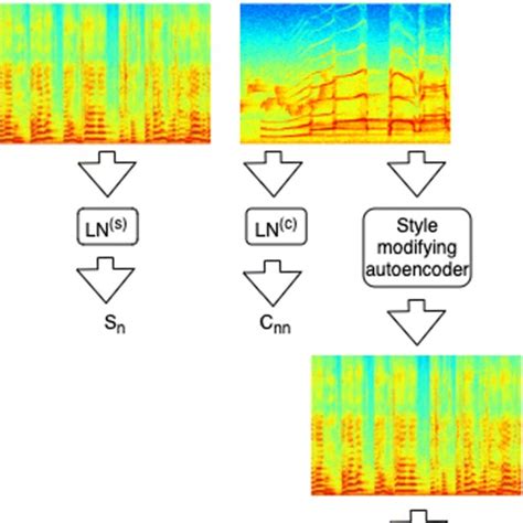 Audio Style Transfer Schema During Training Process The Basic Diagram Download Scientific