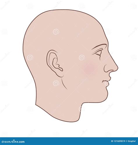 Hand Drawn Human Head In Profile Colored Variant Stock Vector