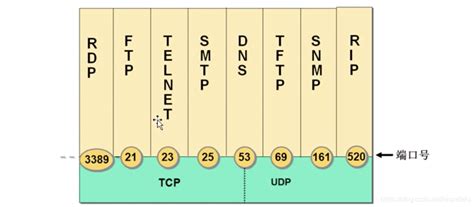 【计算机网络】第五章：传输层数据在第几层传送 Csdn博客
