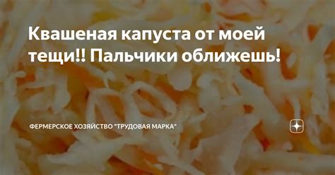 Квашеная капуста от моей тещи Пальчики оближешь Фермерское хозяйство Трудовая Марка Дзен