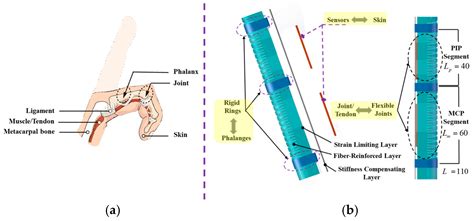A Pneumatic Soft Exoskeleton System Based On Segmented Composite Proprioceptive Bending