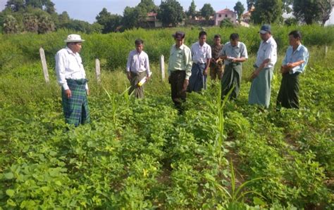 မင်းလှမြို့နယ်တွင် နိုင်ငံ့စီးပွားမြှင့်တင်ရေးစီမံကိန်းရန်ပုံငွေဖြင့