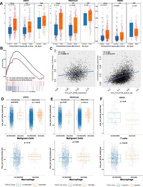 Figure 1 From Alterations In The Rtkraspi3kakt Pathway Serve As Potential Biomarkers For