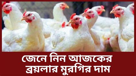 ব্রয়লার মুরগির আজকের বাজার দর