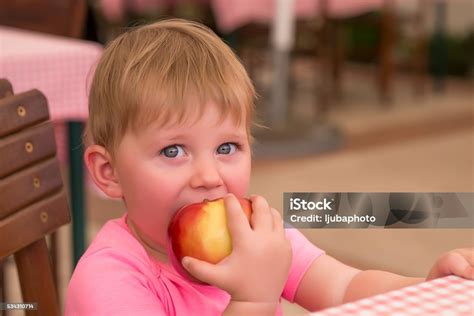 아름다운 사과 먹는 아기에게 여자아이 아르카디아 12 17 개월에 대한 스톡 사진 및 기타 이미지 12 17 개월 갈색 머리 건강한 생활방식 Istock