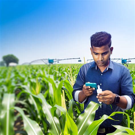 Optimizing Water Use With Crop Monitoring Sensors