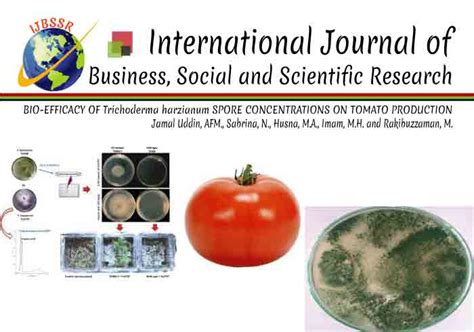 Bio Efficacy Of Trichoderma Harzianum Spore Concentrations On Tomato