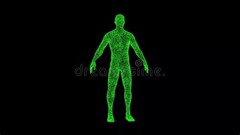 3d Human Body Rotates On Black Background Object Dissolved Green Flickering Particles 60 Fps