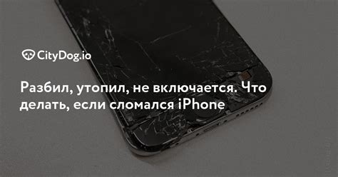 Разбил утопил не включается Что делать если сломался Iphone
