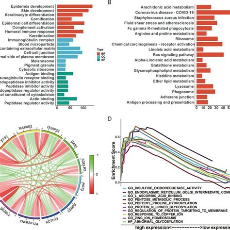 Functional Enrichment Analysis Of Asphd1 Related Degs In Skcm A Download Scientific Diagram